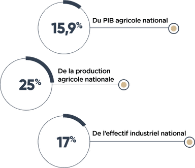 15,9% du PIB national